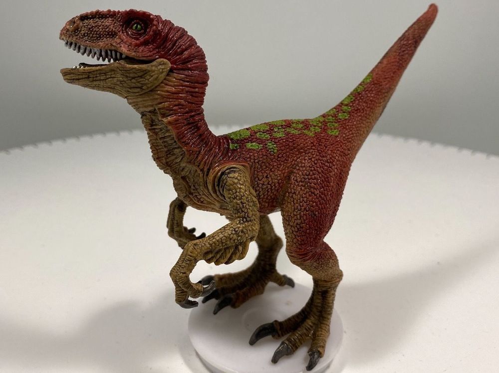 Schleich Velociraptor aus set 42348 (Gebraucht) in Ossingen für CHF 10 ...