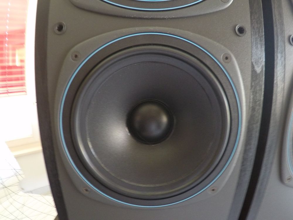 Tannoy DC2000 High End Standlautsprecher (Gebraucht) in Allschwil für CHF 180 – nur Abholung auf ...