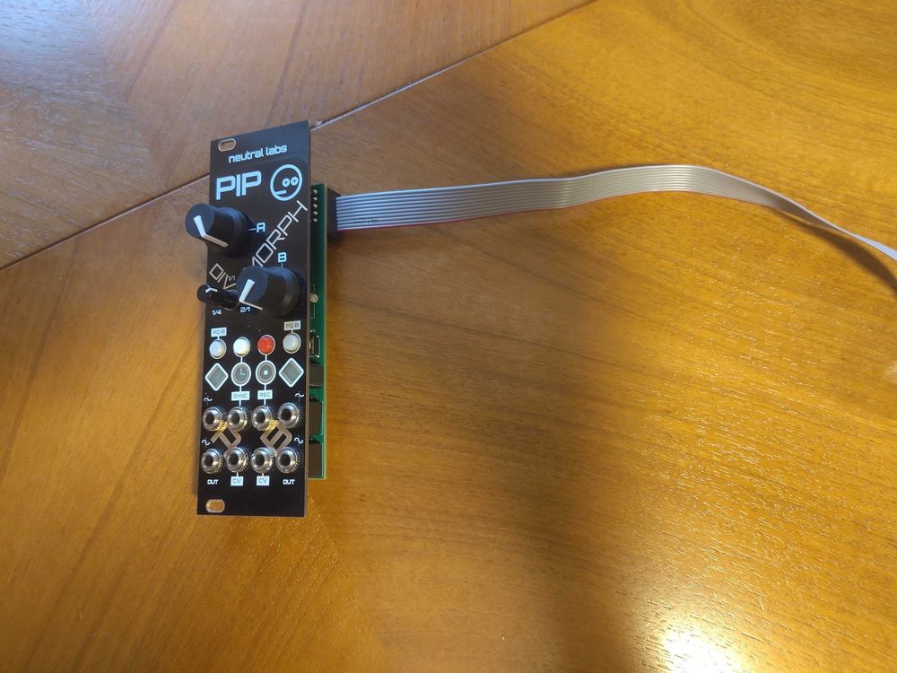 Neutral Labs - Pip clocked CV generator/recorder (eurorack) (Gebraucht ...