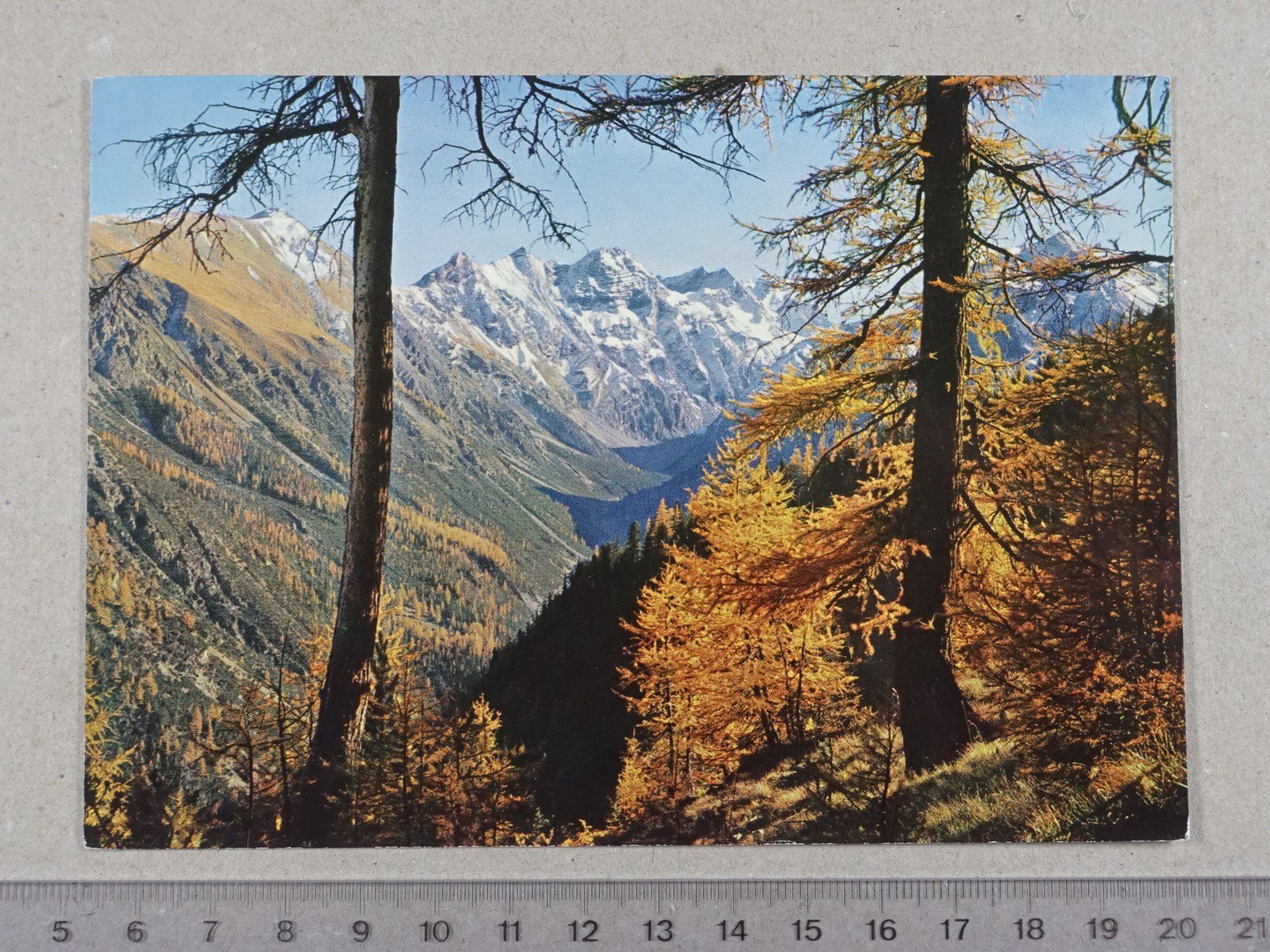 Val Cluozza, Nationalpark, 1980, Poststempel Zernez (Gebraucht) in ...