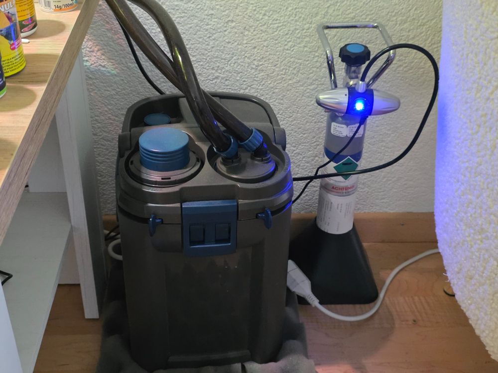 Aquarium Juwel Lido 200 mit Pflanzen , Fischen und Technik (Gebraucht ...