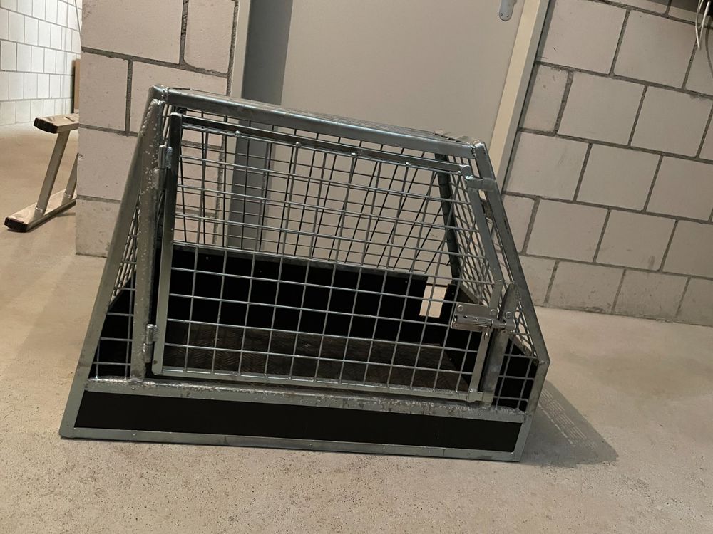 Gitter Hunde Box Spezial Anfertigung | Kaufen auf Ricardo