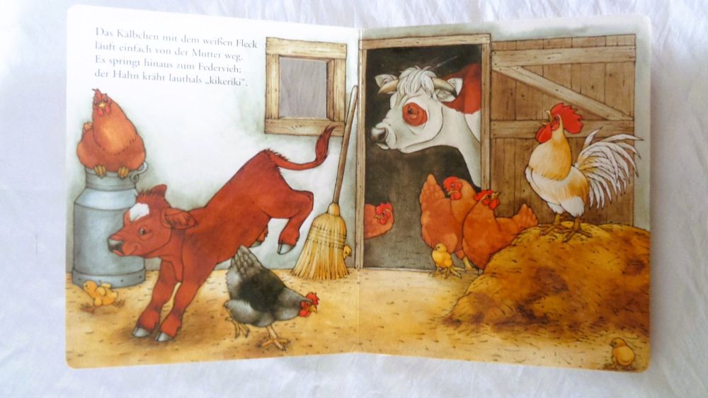 Das Kälbchen mit dem weissen Fleck / Sara Ball Bilderbuch (Gebraucht ...