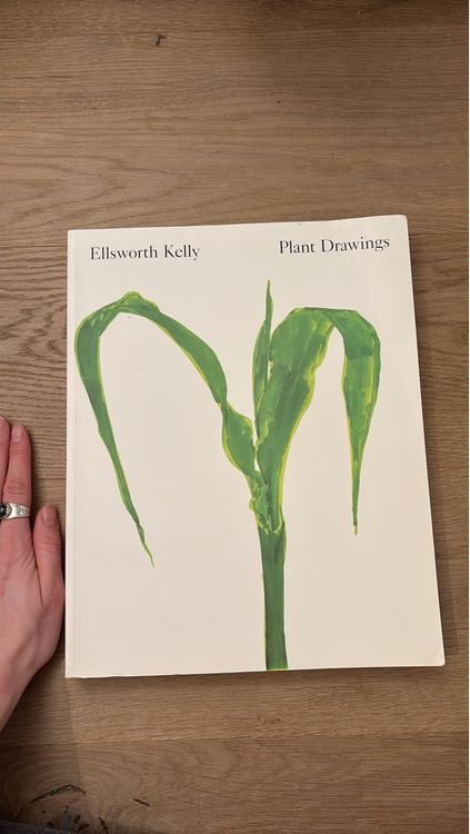 Ellsworth Kelly: Plant Drawings (Gebraucht) in Schaffhausen für CHF 11 ...