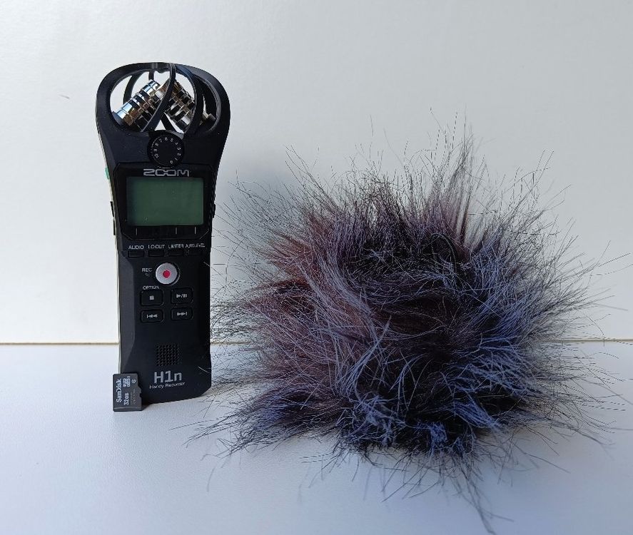Zoom H1n MP3 / Wave Handy Recorder mit Windschutz (Gebraucht) in Zizers ...