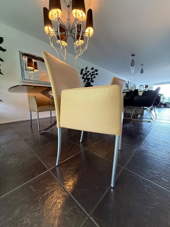 Walter Knoll Stühle Leder 6 Stück (Gebraucht) in Altendorf für CHF 800 ...