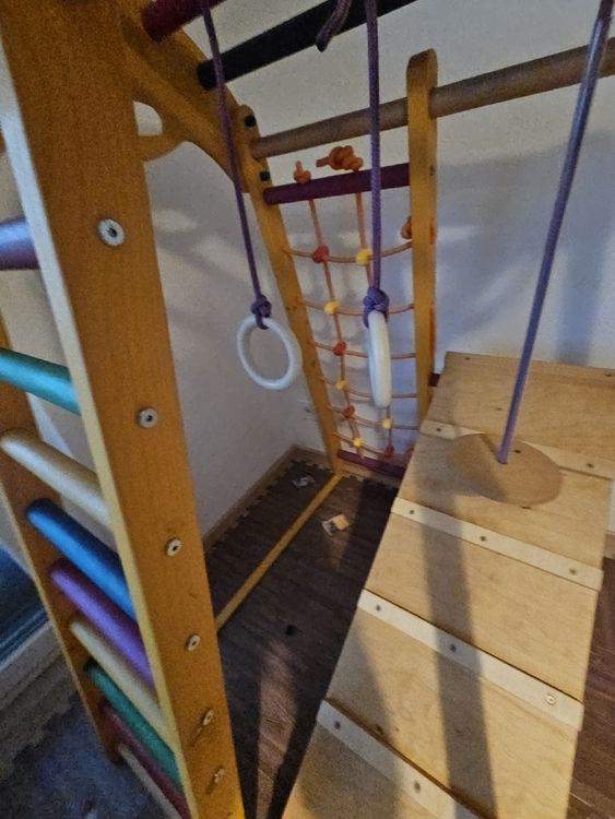 Ryna Gym wooden climber Kids Wall Bars, Net, Rings, Slide (Gebraucht ...
