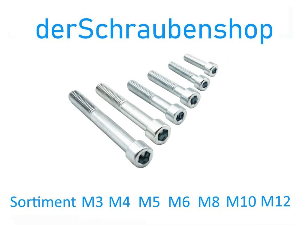 Zylinderschrauben Inbusschrauben M3 M4 M5 M6 M8 M10 M12 (Neu und ...