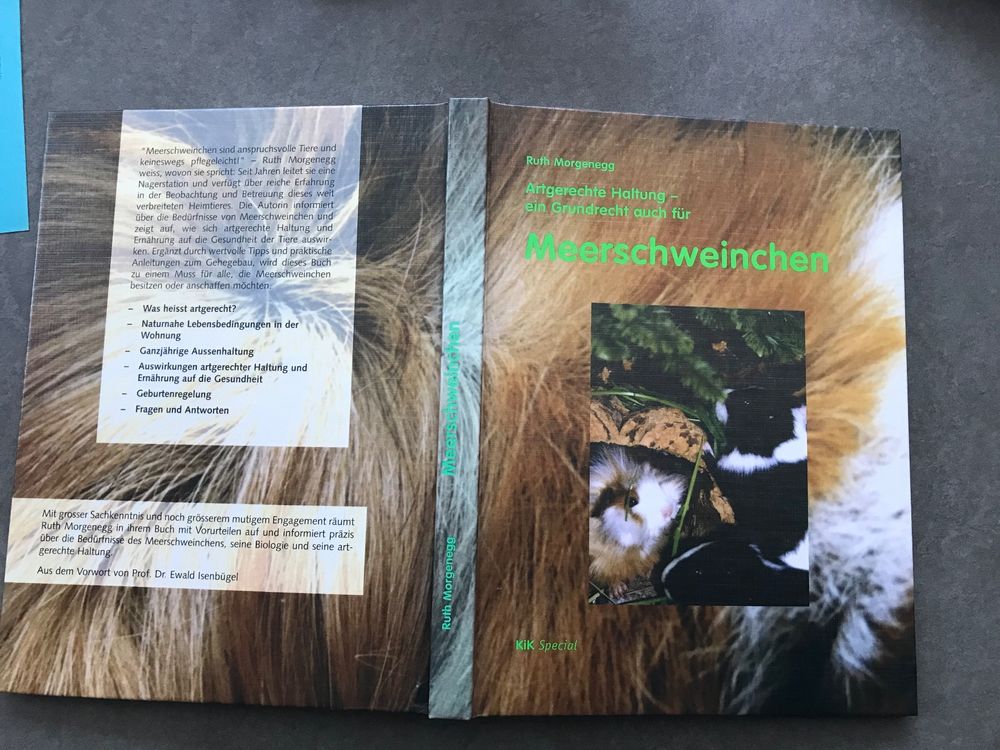 Meerschweinchen, Artgerechte Haltung | Kaufen auf Ricardo
