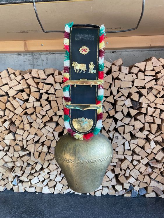 Treichel ab CHF 1.- (Gebraucht) in für CHF 41 – mit Lieferung auf ...