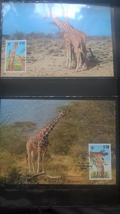 Kenia 1989 Satz Maximumkarten WWF Giraffen (Neu (gemäss Beschreibung)) in Liestal für CHF 2 ...