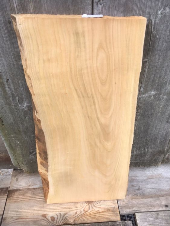 Kirschbaum Brett gehobelt (Neu (gemäss Beschreibung)) in für CHF 70 ...