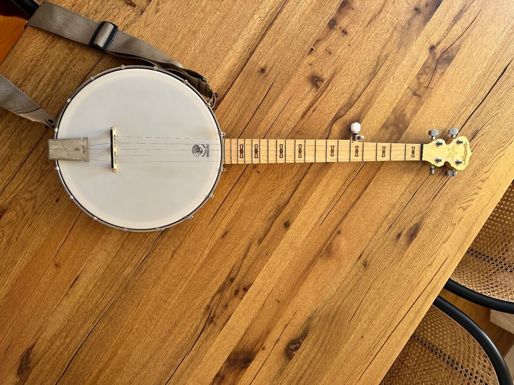 Deering Parlor Banjo (Gebraucht) in Zürich für CHF 320 – nur Abholung ...