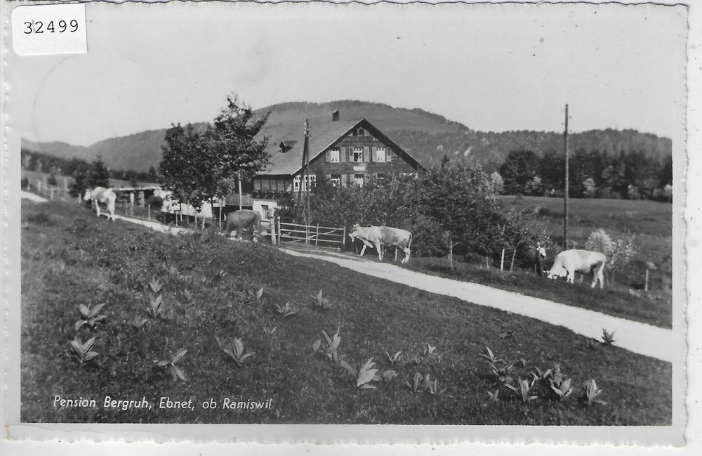 Pension Bergruh Ebnet ob Ramiswil - Kühe vaches cows (Gebraucht) in Ettingen für CHF 9 – mit ...
