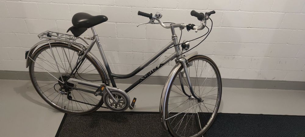 Alpina Cycles 357 Damen velo Citybike shimano Schaltung (Defekt) in ...