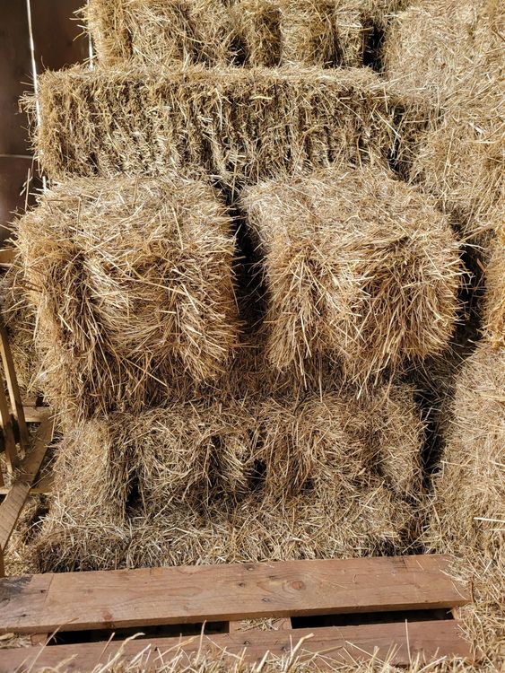 Heuballen klein | Kaufen auf Ricardo