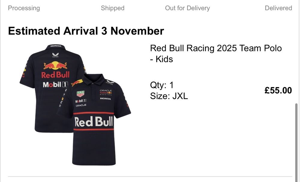 Red Bull Racing 2025 Team Polo Kids NEU Gr 164 (Neu und ...