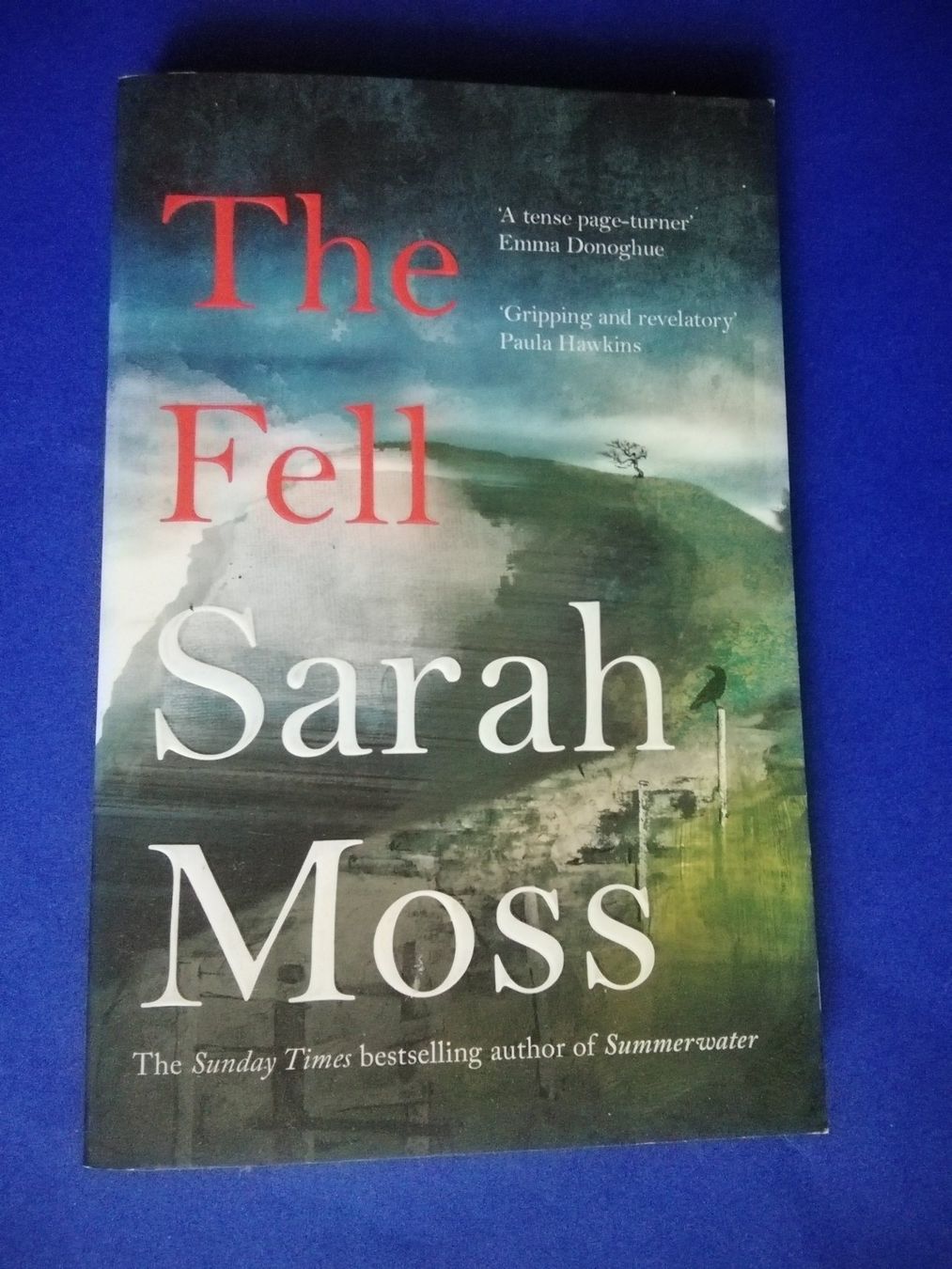 The Fell, Sarah Moss - In English (Neuf (Voir description)) à Commugny ...