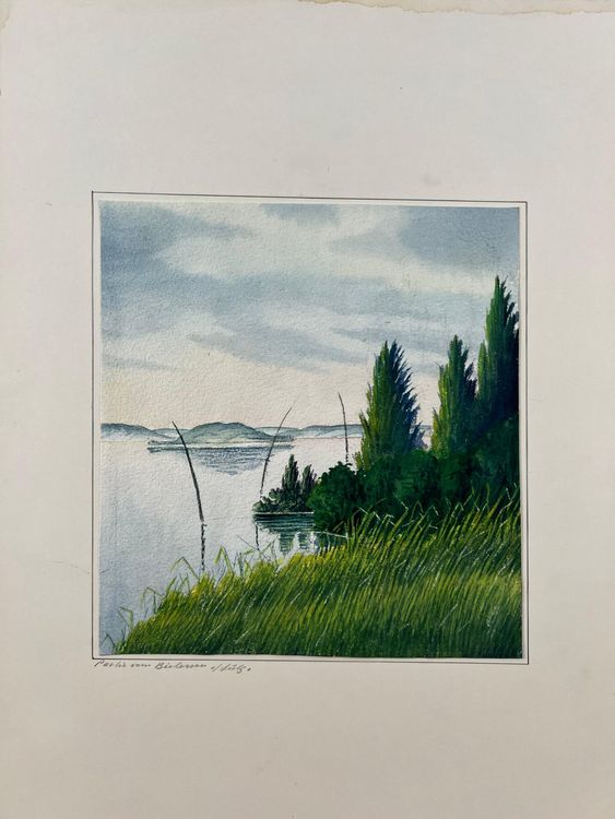 Aquarell "Partie vom Bielersee" signiert (Gebraucht) in Neuhausen am Rheinfall für CHF 10 – mit ...