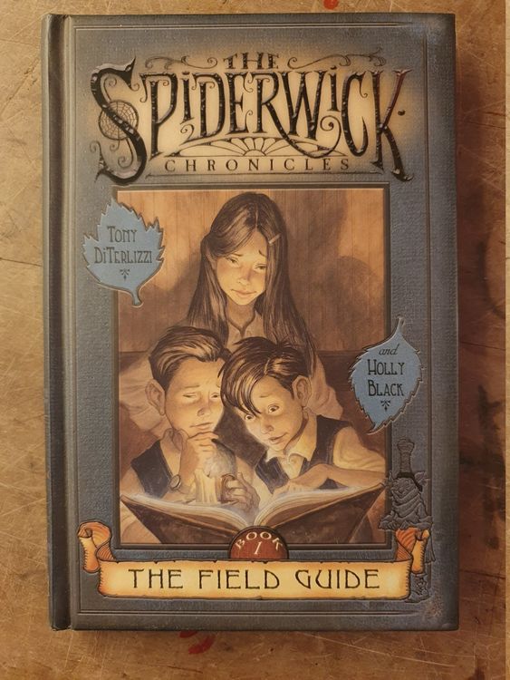 The Spiderwick Tony Di Terlizzi Holly Black (Gebraucht) in Zürich für ...