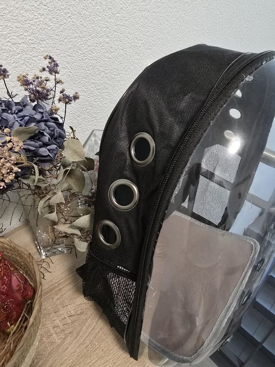 Sac à dos de transport pour petit chat/petit chien (Neuf (Voir ...