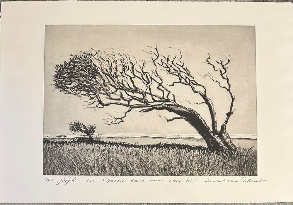 Interessante Radierung Unl Sig (Gebraucht) in Hochdorf für CHF 5 – mit Lieferung auf Ricardo kaufen