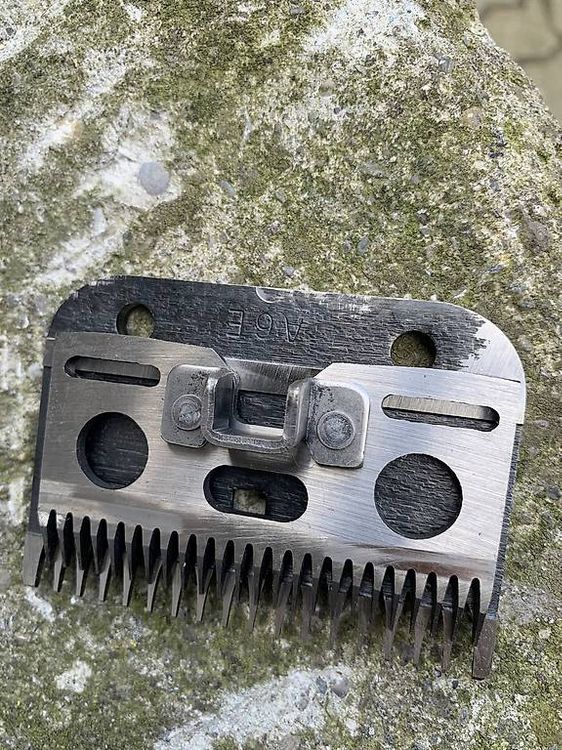 Messer für Schermaschine (Gebraucht) in Alterswil FR für CHF 25 – nur ...