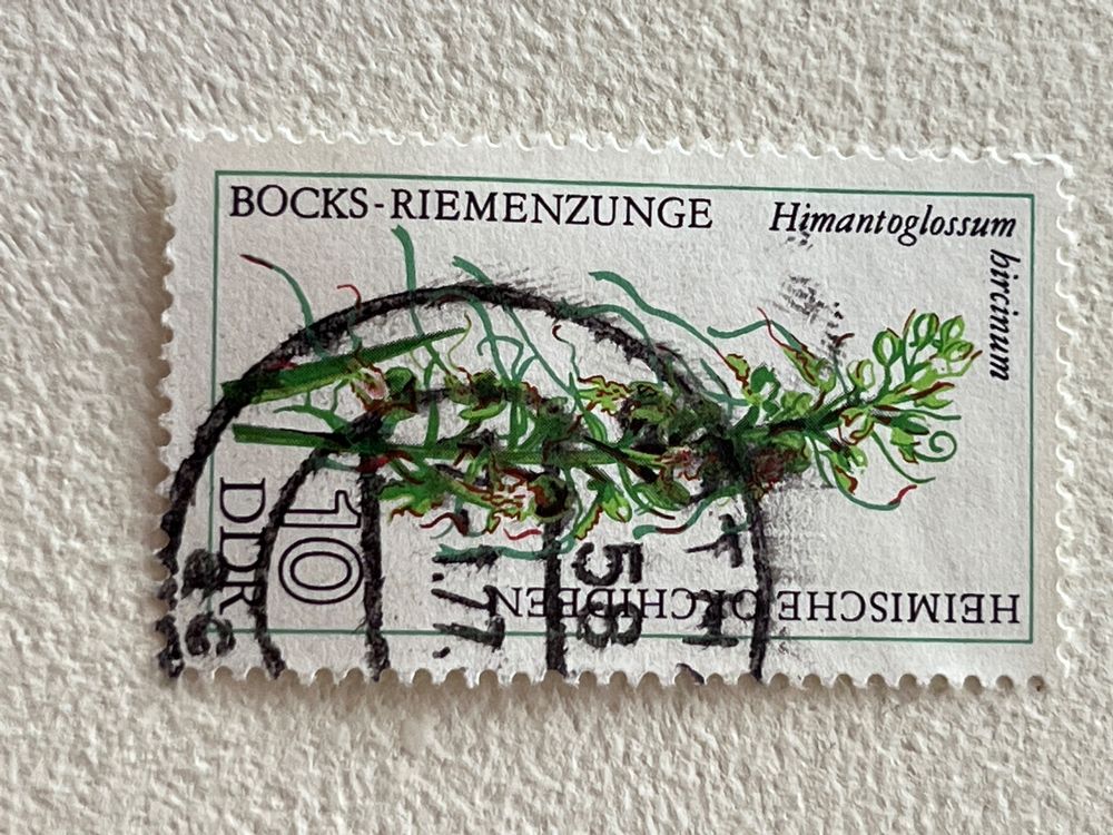 DDR Briefmarke / Francobollo Repubblica Democratica Tedesca | Kaufen ... DDR Briefmarke / Francobollo Repubblica Democratica Tedesca | Kaufen ...