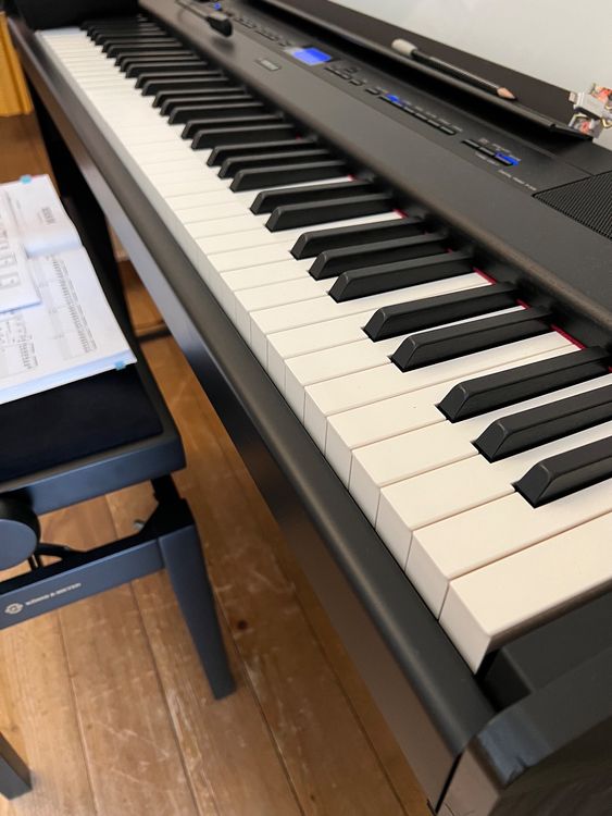 Yamaha P515 (Neu (gemäss Beschreibung)) in Bischofszell für CHF 1450 ...