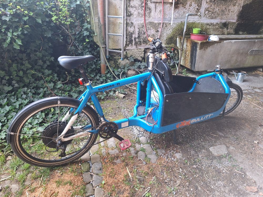 Cargovelo Bullitt Bluebird | Kaufen auf Ricardo