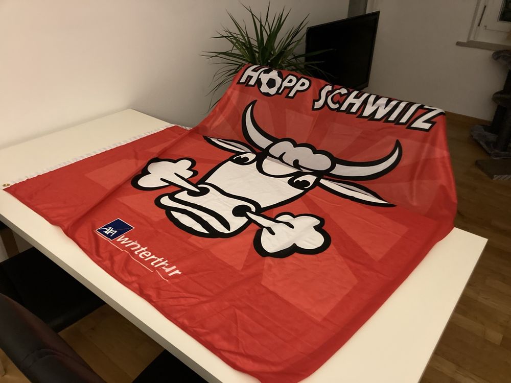 Schweizer Fahne “Hopp Schwiiz“ Schweizer Nati | Acheter sur Ricardo