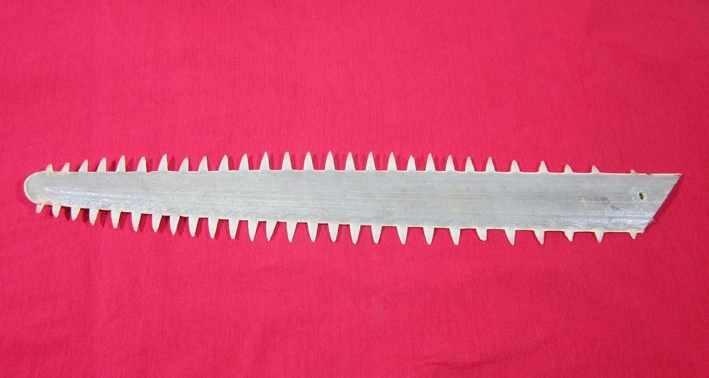 Säge eines Sägefisch oder Sägerochen (Gebraucht) in Ottikon für CHF 70 ...