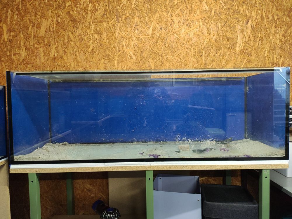 Aquarium 375 Liter | Kaufen auf Ricardo