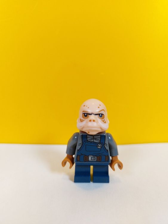 LEGO Star Wars Figur Ugnaught sw0710 (Jahr 2016) (Gebraucht) in St ...