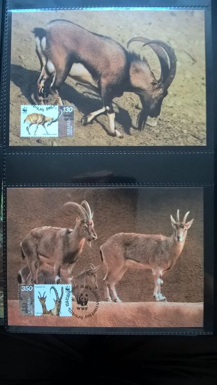WWF Armenien 1996 Satz Bezoarziege Maximumkarten (Neu (gemäss Beschreibung)) in Liestal für CHF ...