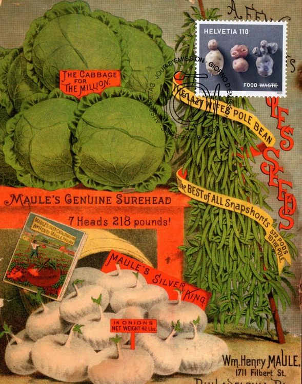 Maximumkarte No Food Waste (Neu (gemäss Beschreibung)) in Dottikon für CHF 4 – mit Lieferung auf ...