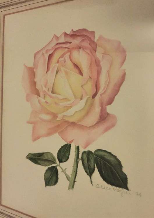 Original-Aquarelle "ROSE" 1979 - Alice Voegeli (1922 - 2016) (Gebraucht ...