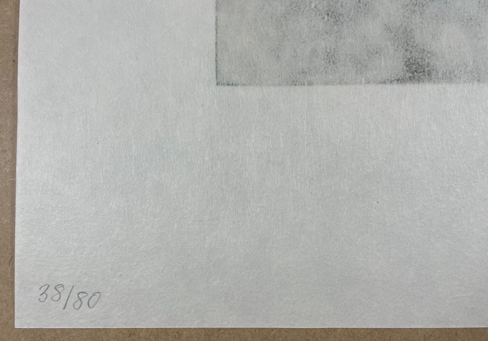 Franz Gertsch (1930-2022) Holzschnitt Handsigniert (Gebraucht) in Root für CHF 2090 – mit ...