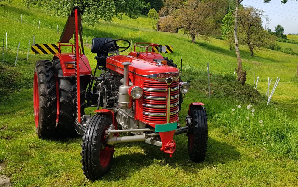 Hürlimann Traktor D70 SSP Jg.1965 | Kaufen auf Ricardo