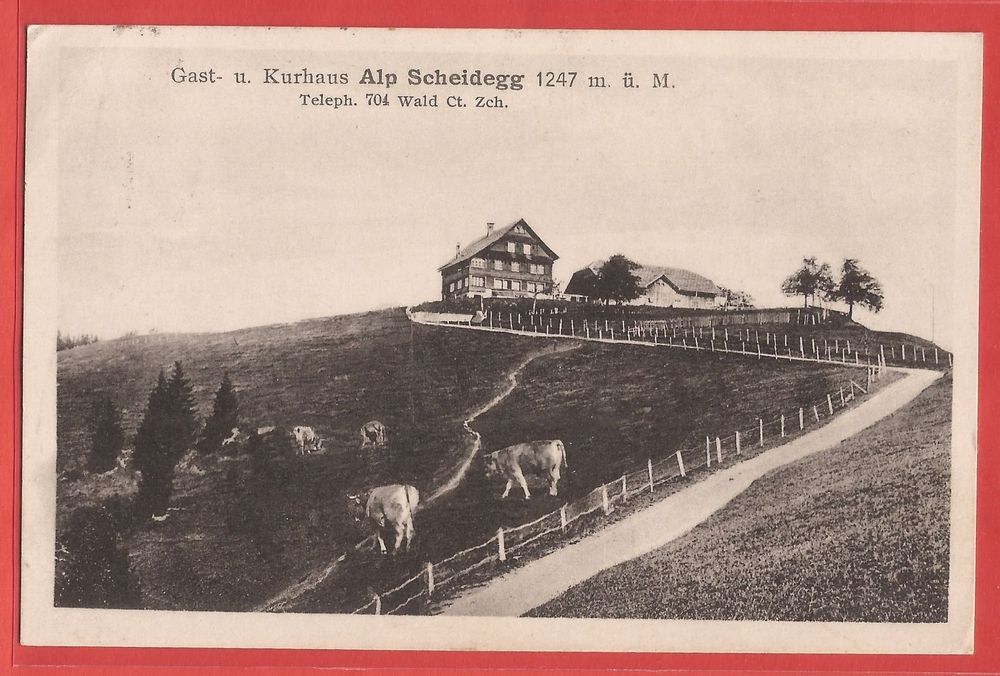 Wald ZH - Gast- und Kurhaus Alp Schweidegg - 1932 | Kaufen auf Ricardo