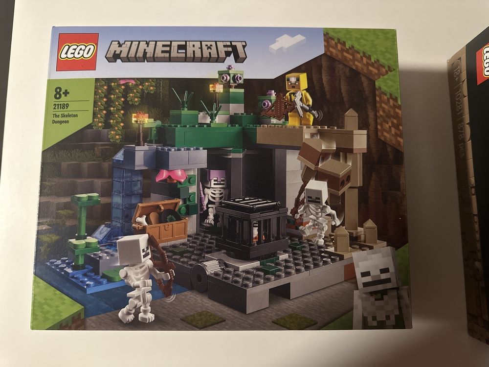 LEGO Minecraft/ The Skeleton Dungeon | Kaufen auf Ricardo