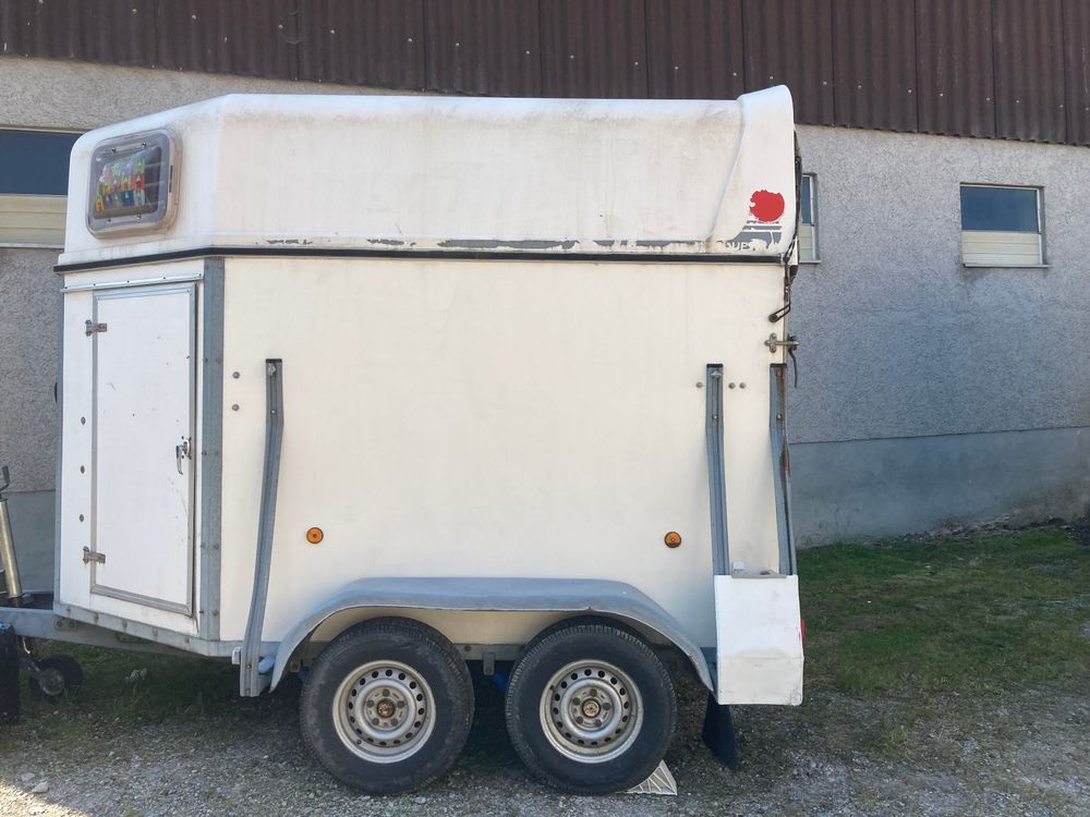 2er-Pferdeanhänger Hofer EQ 22 (MFK Dez. 2022), weiss | Kaufen auf Ricardo