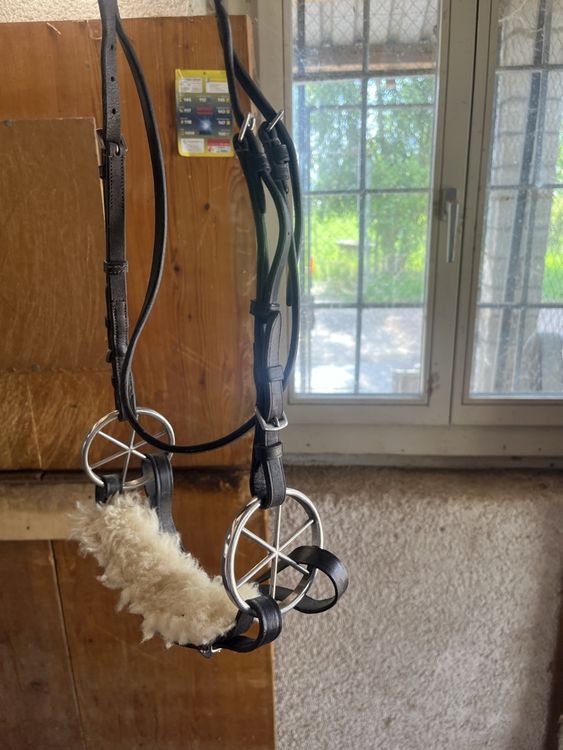 Zaum Gebisslos Glücksrad / LG Zaum | Kaufen auf Ricardo