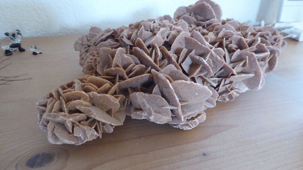 Sandrose | Kaufen auf Ricardo