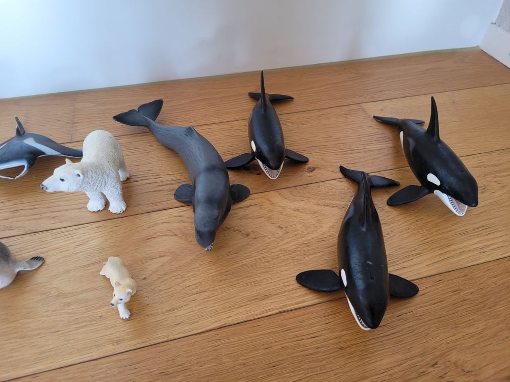 Schleich Wassertiere | Kaufen auf Ricardo