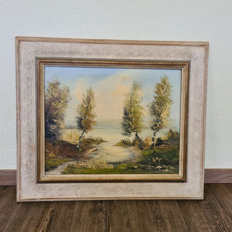 Schönes Ölgemälde Landschaft, signiert, gerahmt (Gebraucht) in Eschlikon TG für CHF 29 – mit ...