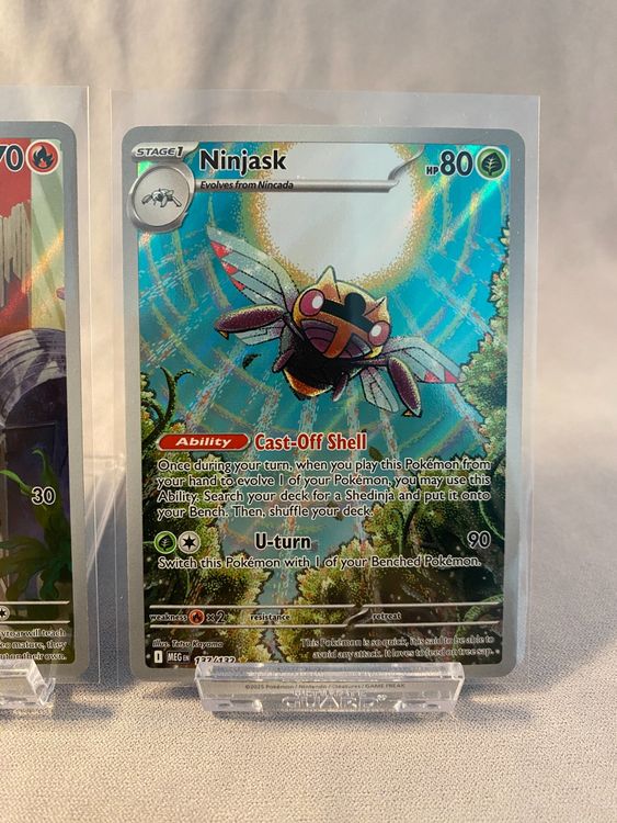 Pokémon diverse Illustration Rare: Litleo & Ninjask / Ab 1.- (Neu ...