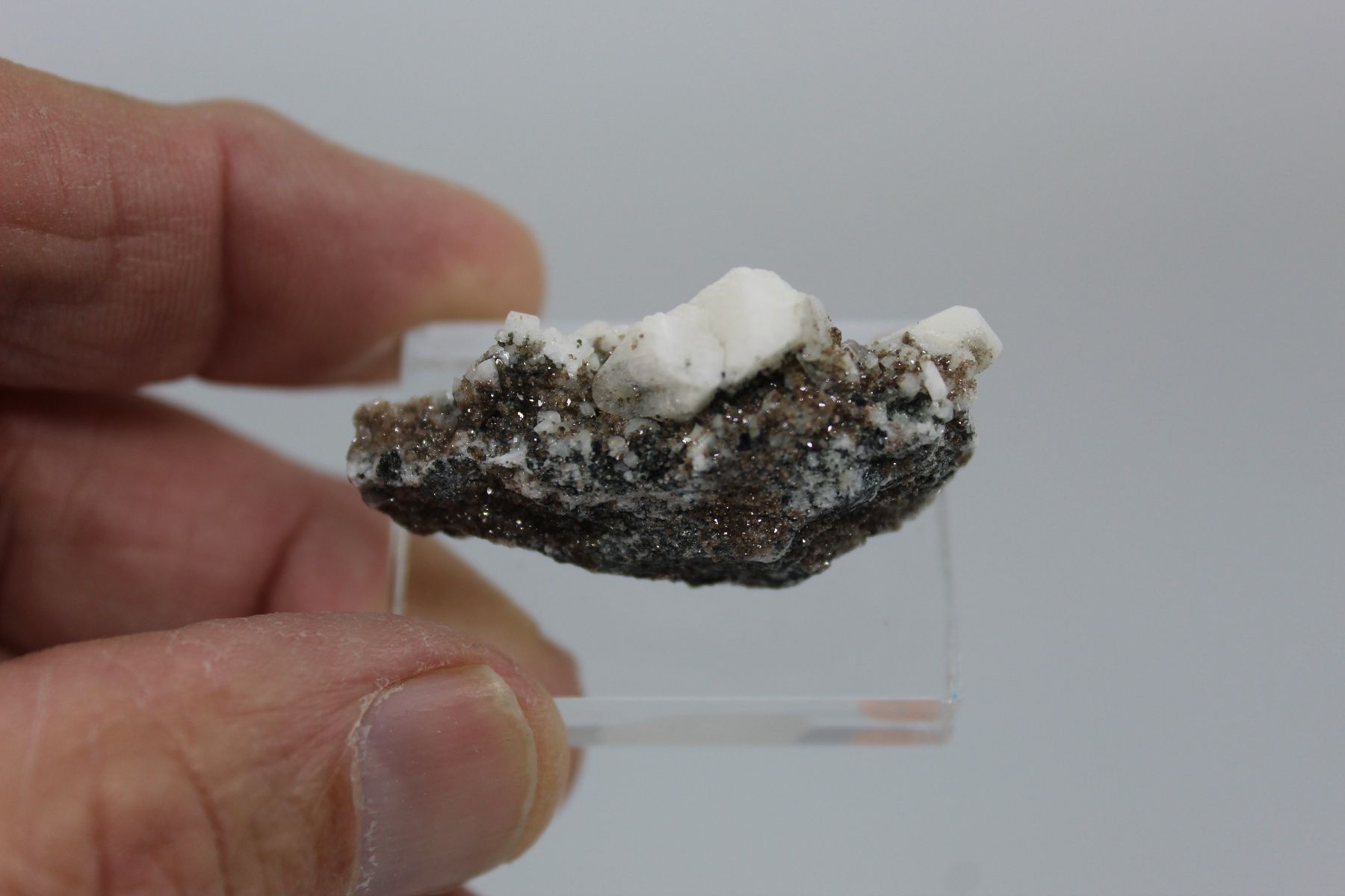 Albit mit titanit - albite titanite S. Gotthard Scimfüss (Usato) a ...
