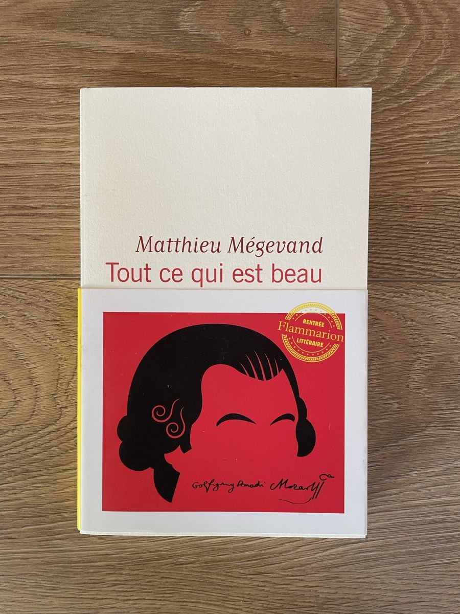 Livre: Tout ce qui est beau - Matthieu Mégevand (D'occasion) à Lonay ...
