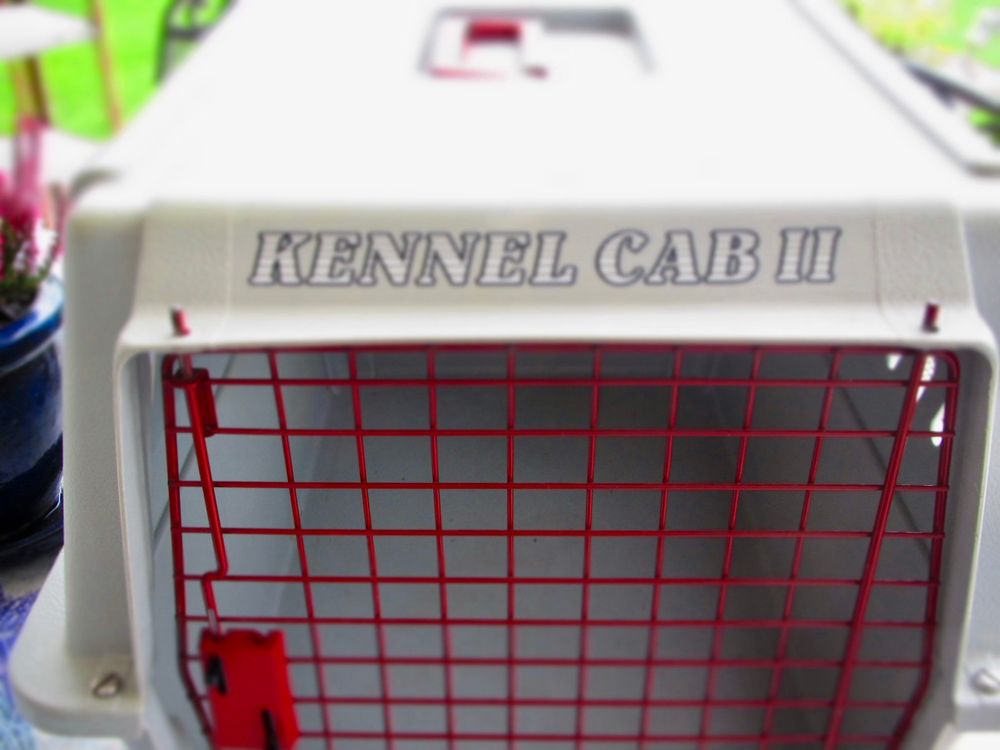 CAGE DE TRANSPORT VARI KENNEL CAB 11 POUR CHIENS (D'occasion) à Murten ...